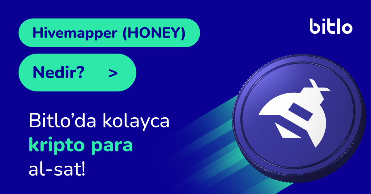Hivemapper (HONEY) Nedir? Her şeyiyle Hivemapper [Rehber] - Bitlo.com