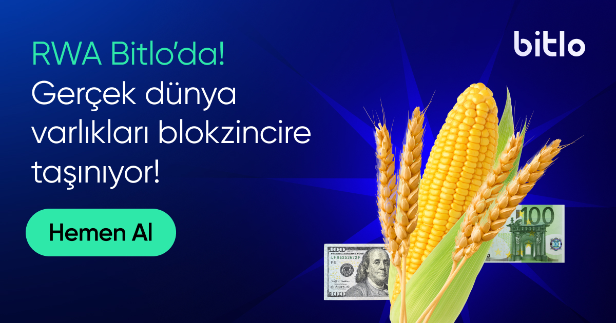 RWA Coin ve Fiyatları | En Popüler Token’laştırılmış Gerçek Dünya ...